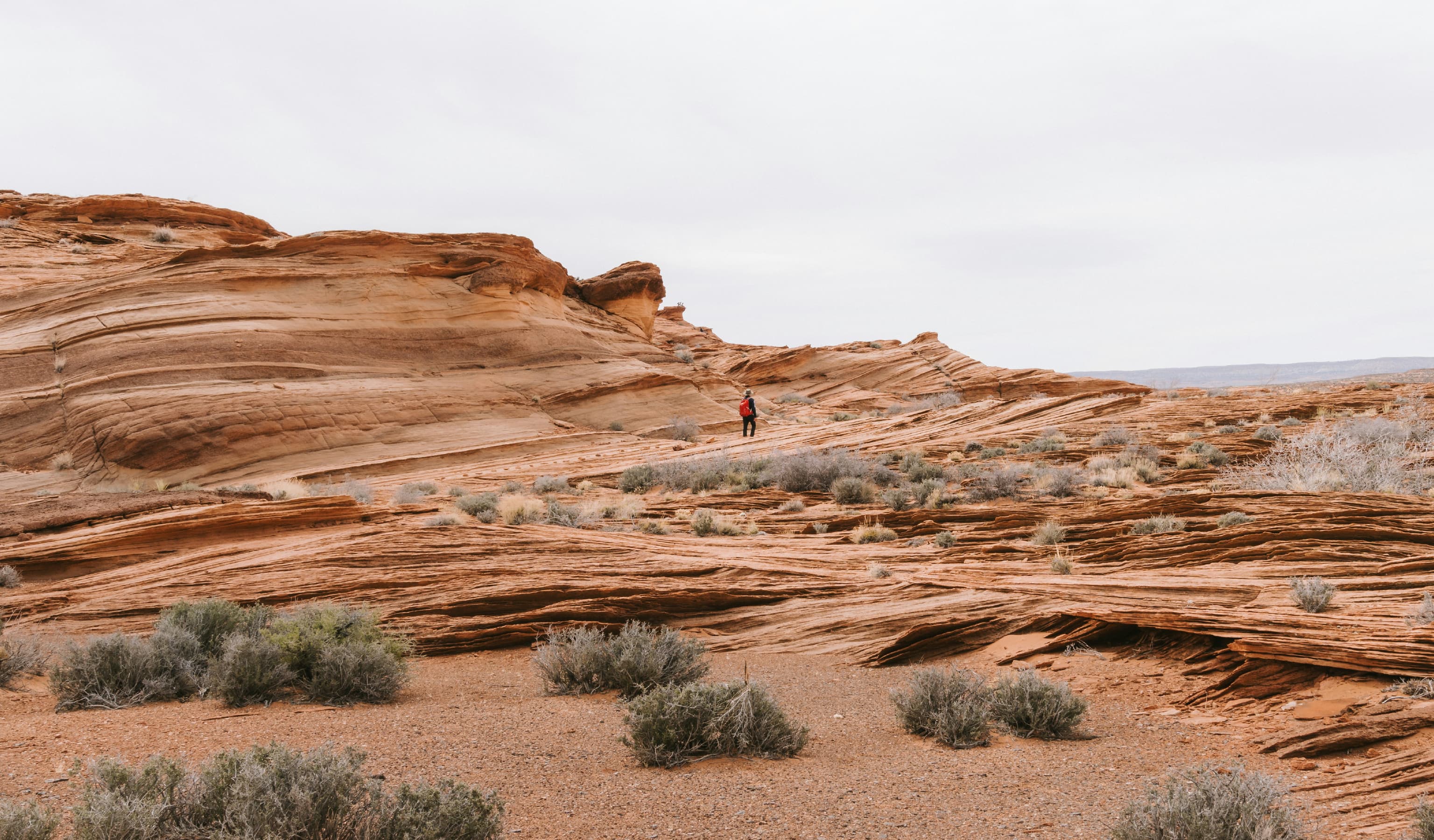 Sleepless?