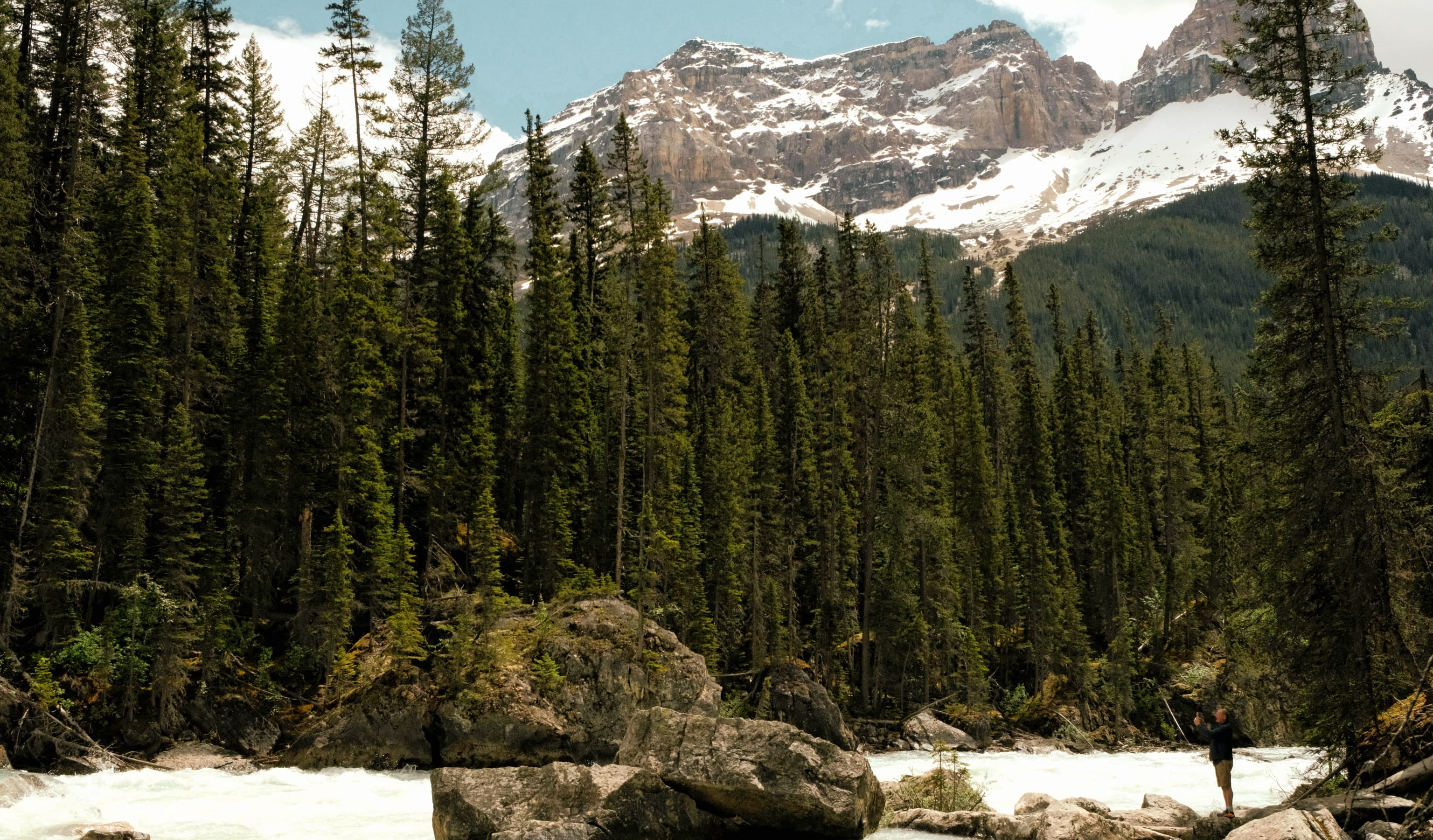 Digging Deep for Wisdom