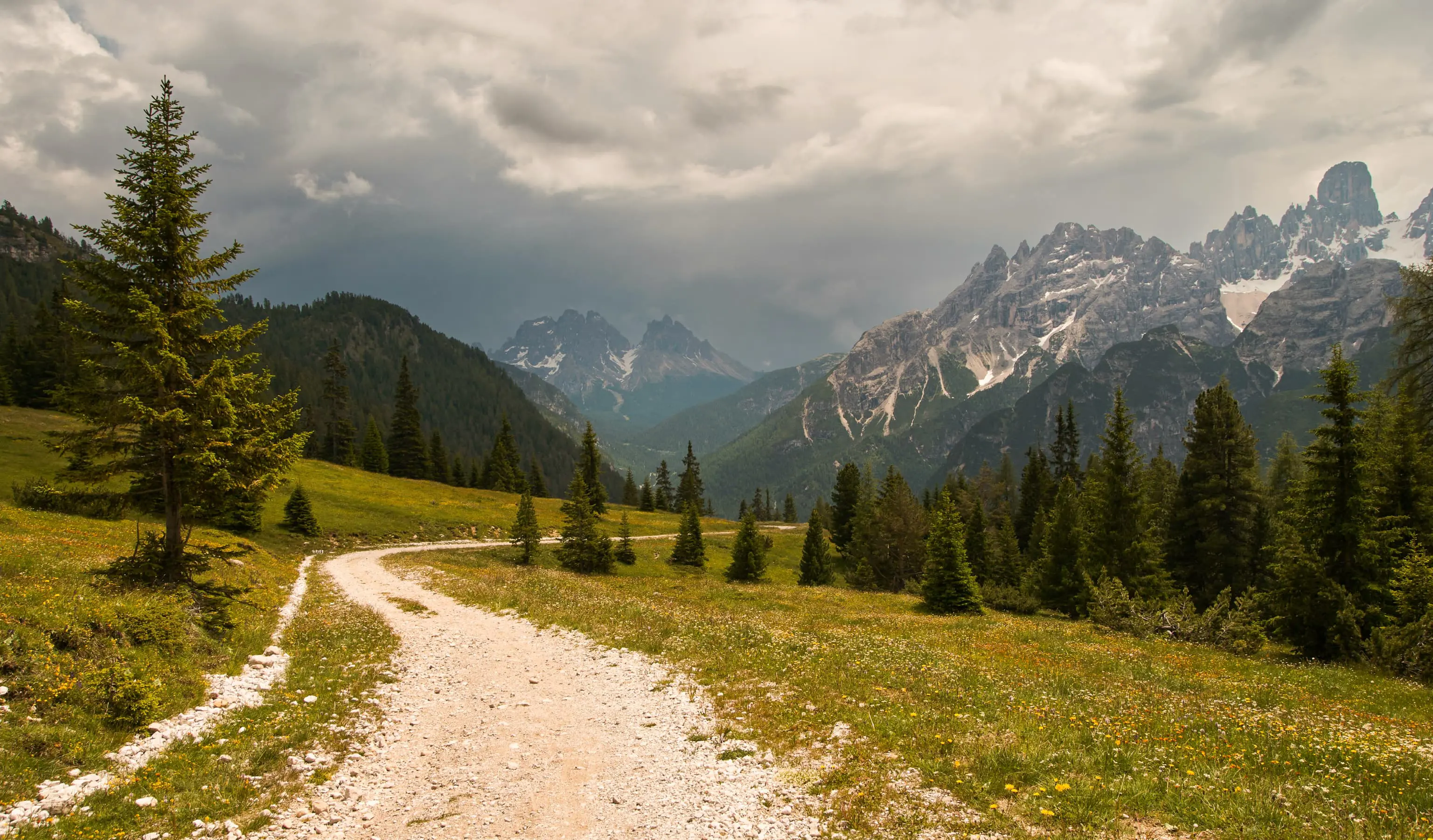 Our Daily Bread Ministries