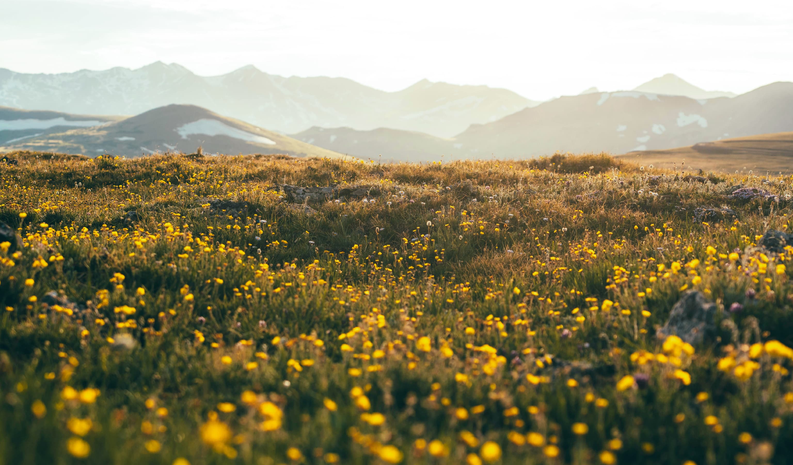 Embracing Christ’s Truth