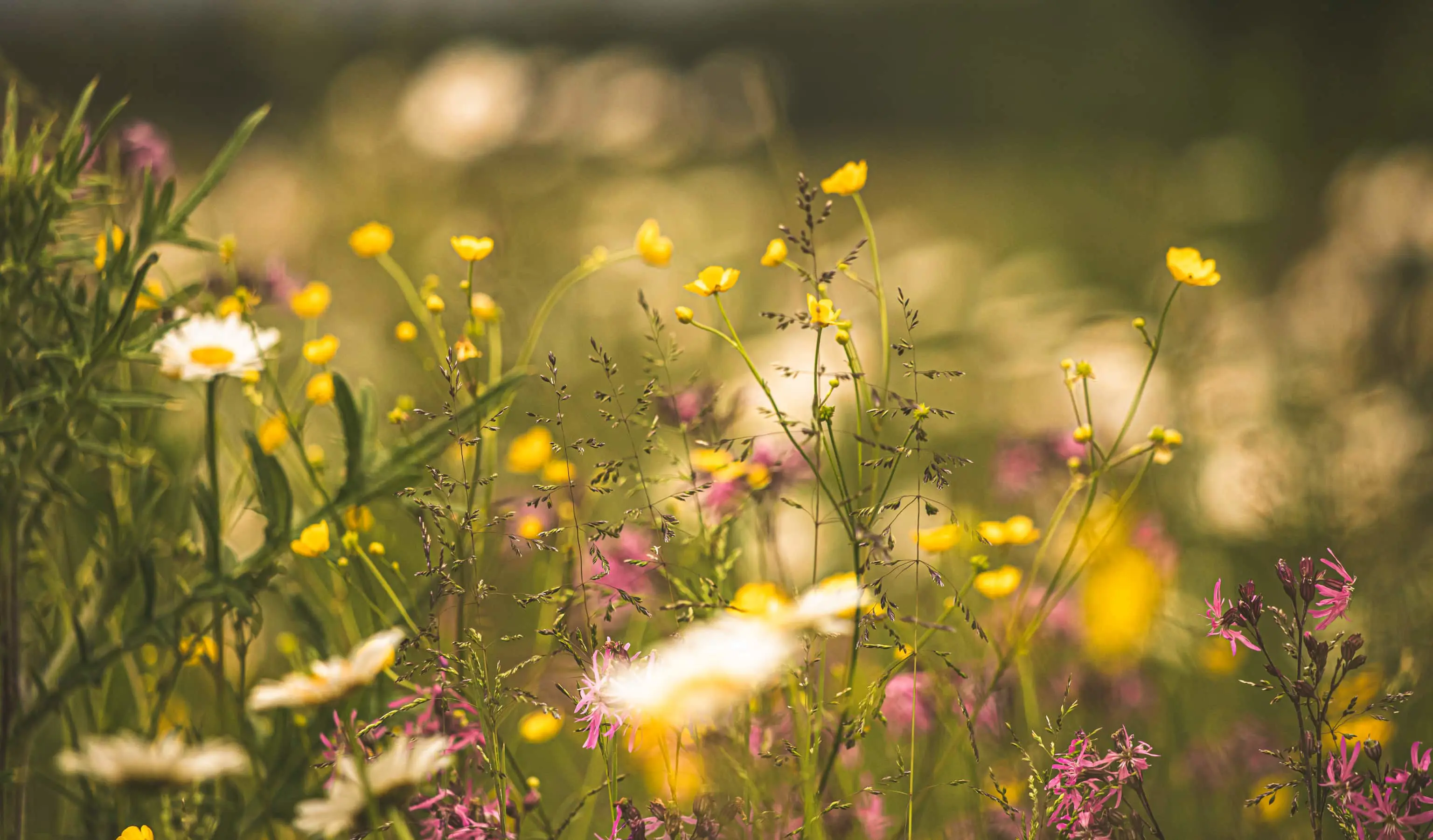 Making Jesus Angry | Matthew 23:23–26