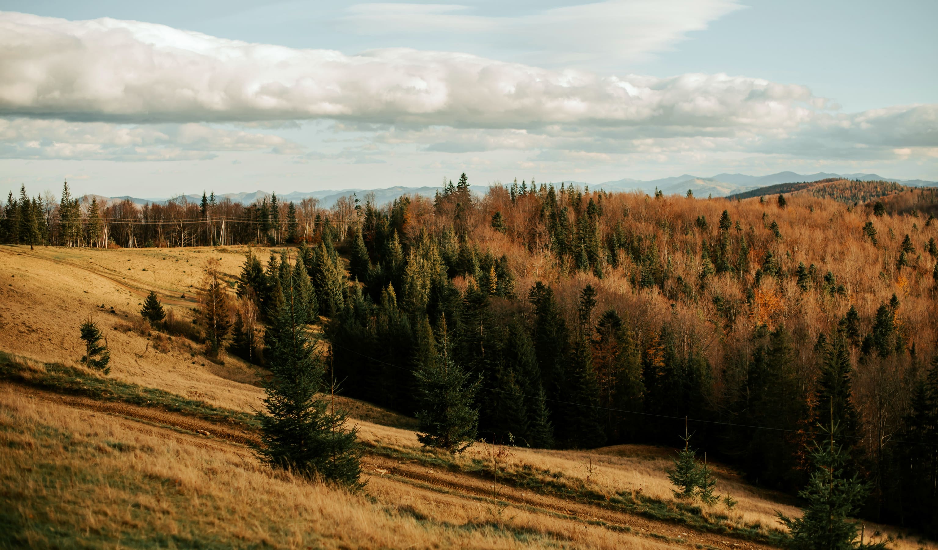 Making Room for Others