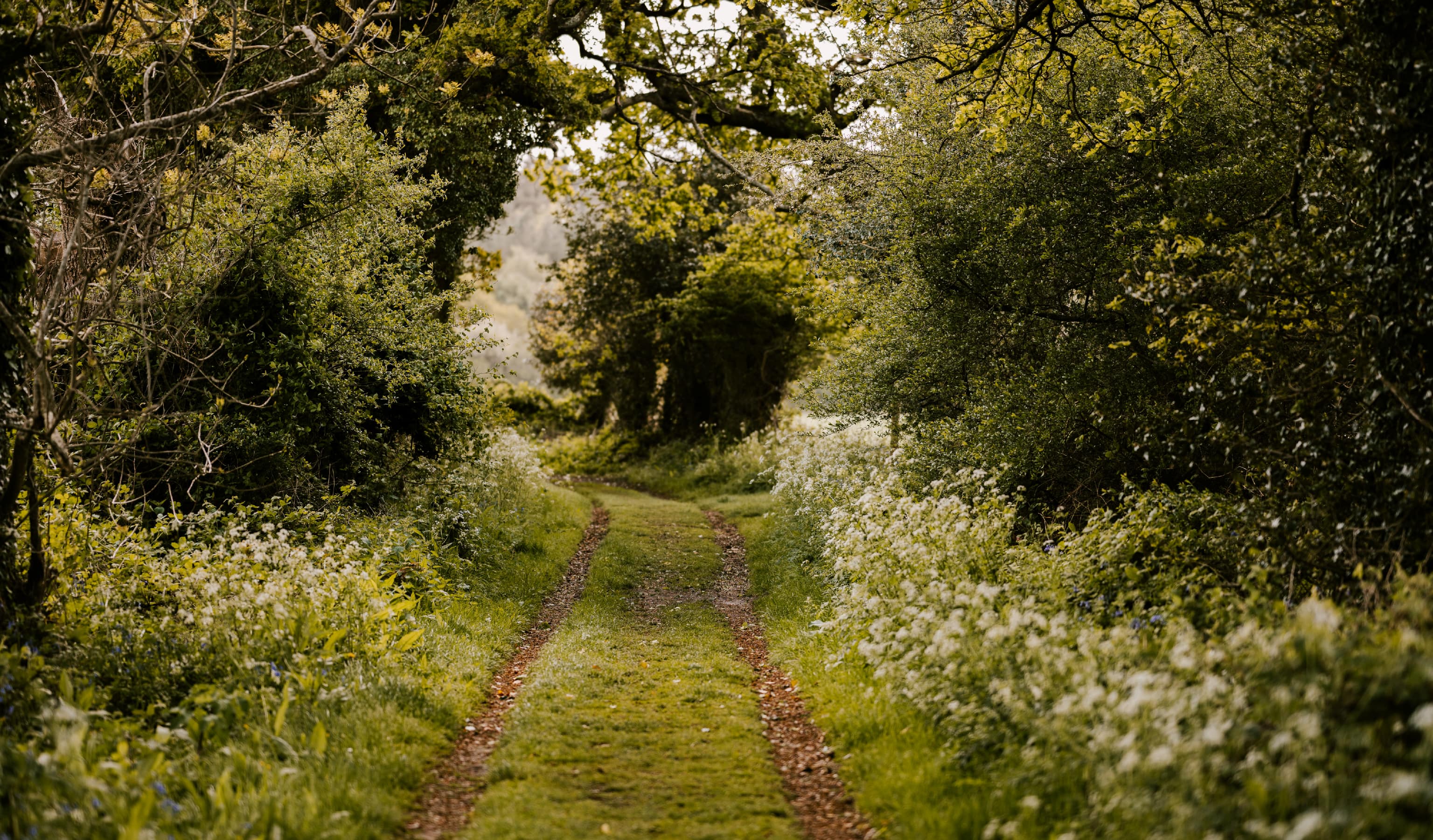 What Jesus Did For Us