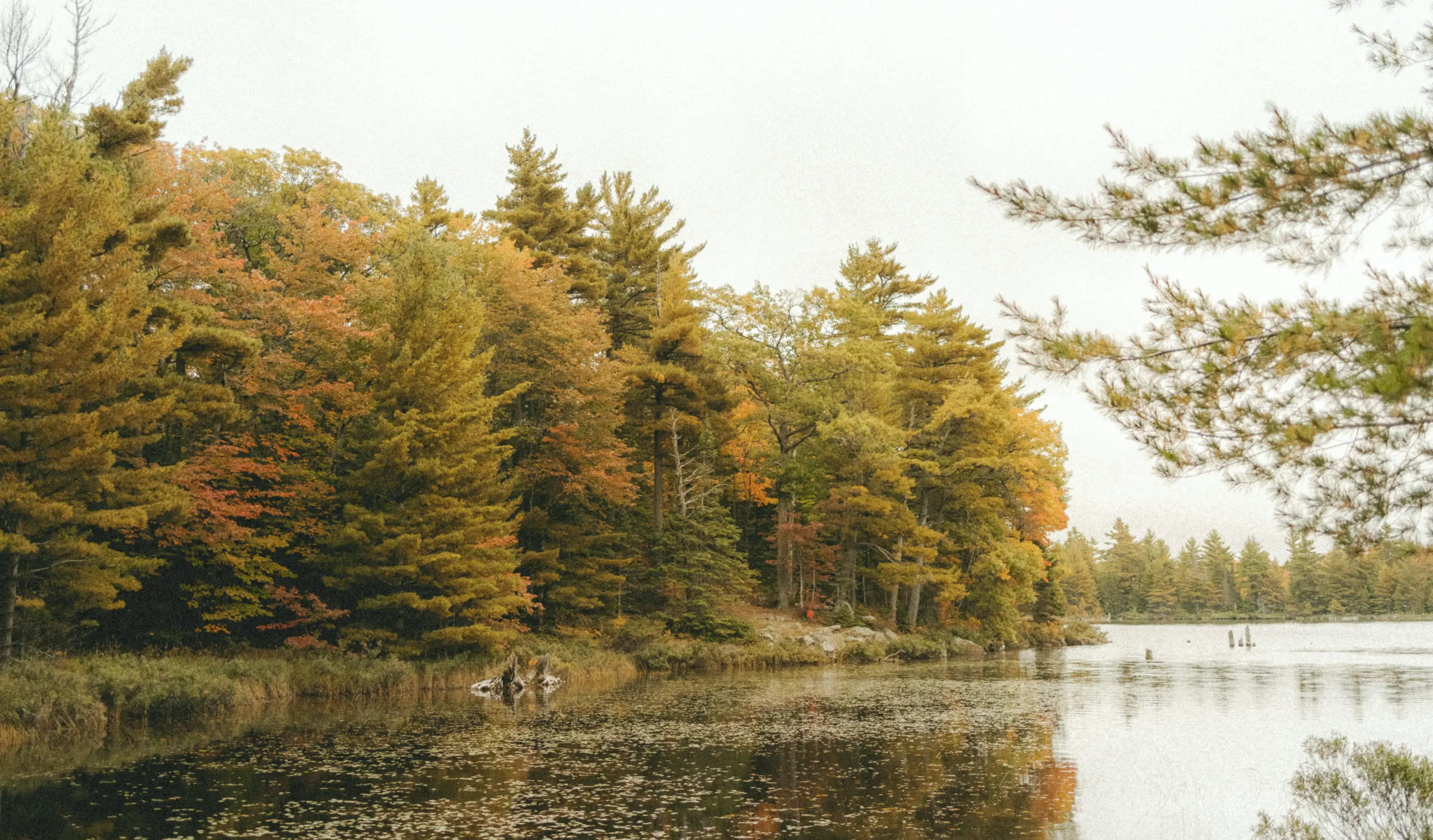 Our Daily Bread Ministries