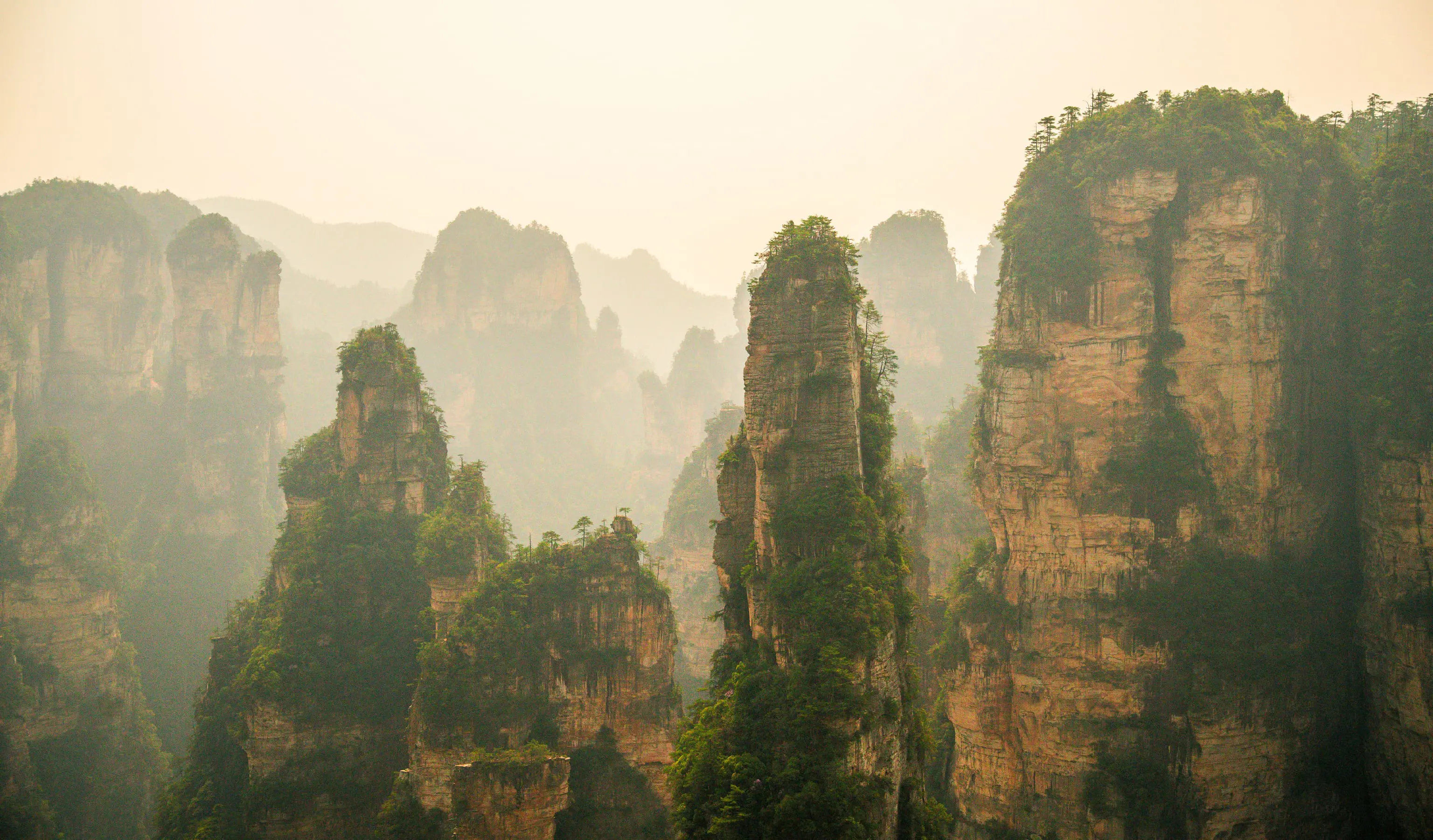 Our Daily Bread Ministries