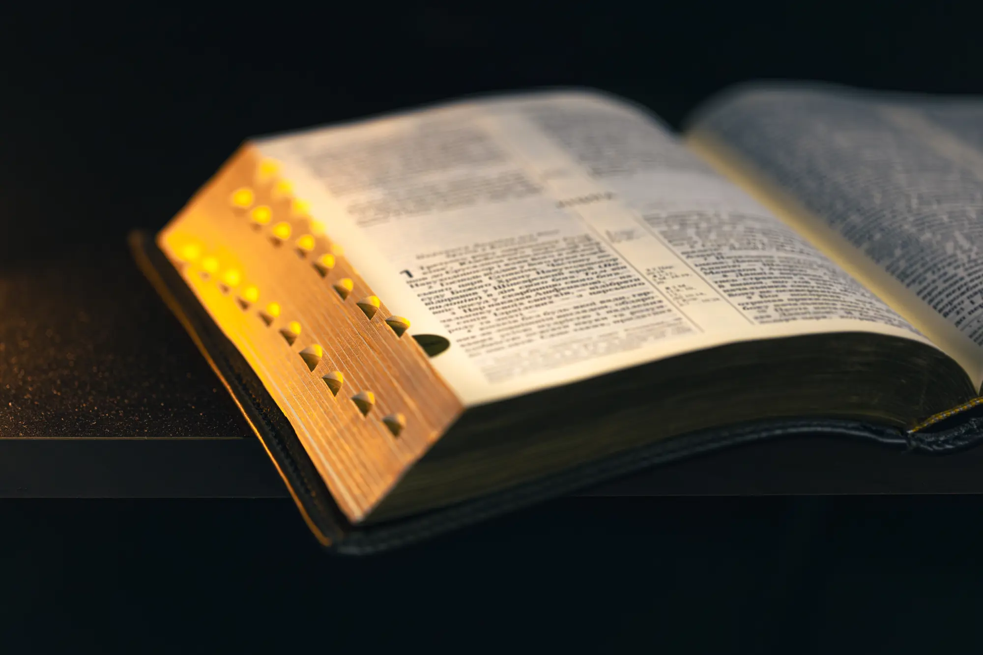 Understanding How to Read the Bible Today