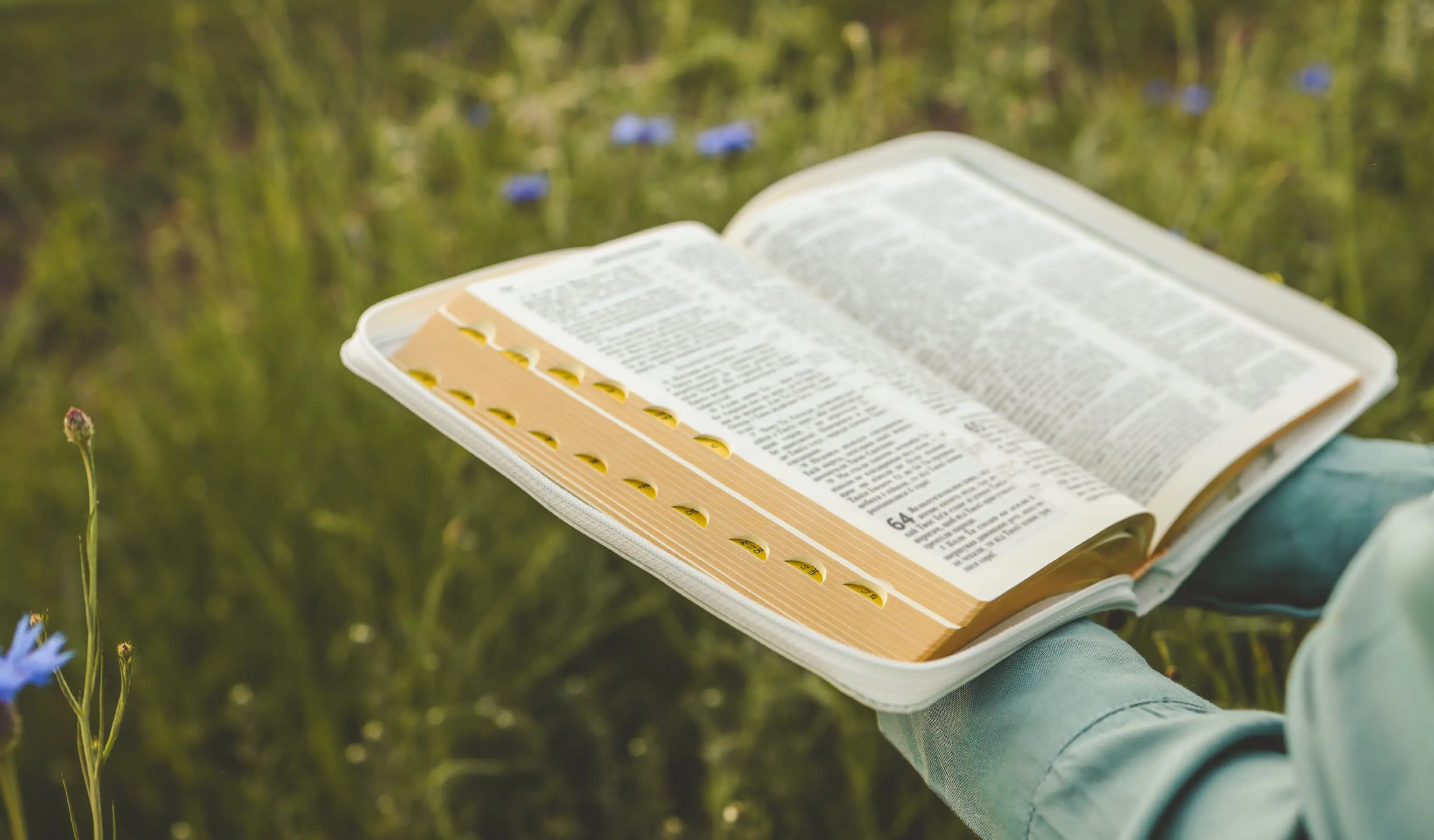 Spiritual Living| Our Daily Bread