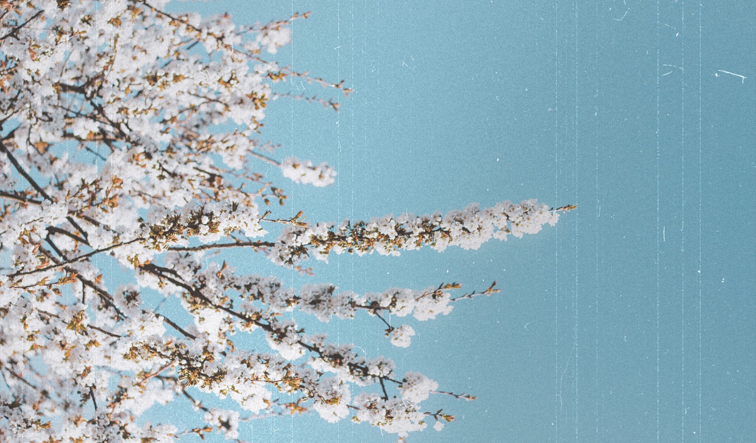 Bitterness of Stolen Sweets