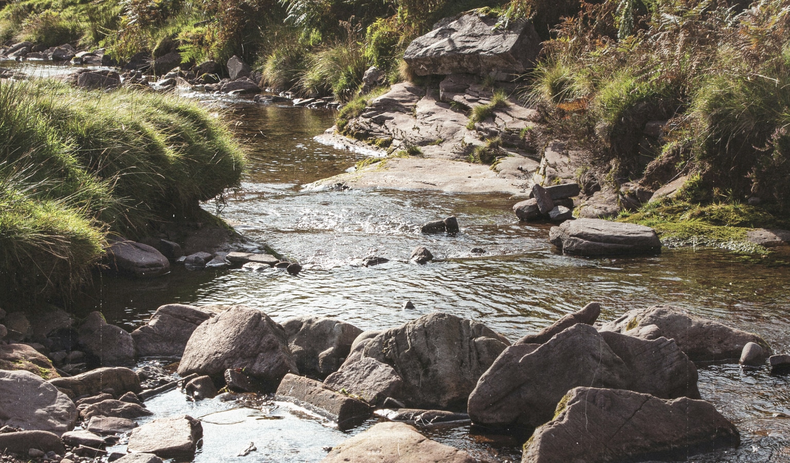 Serving Together in Jesus