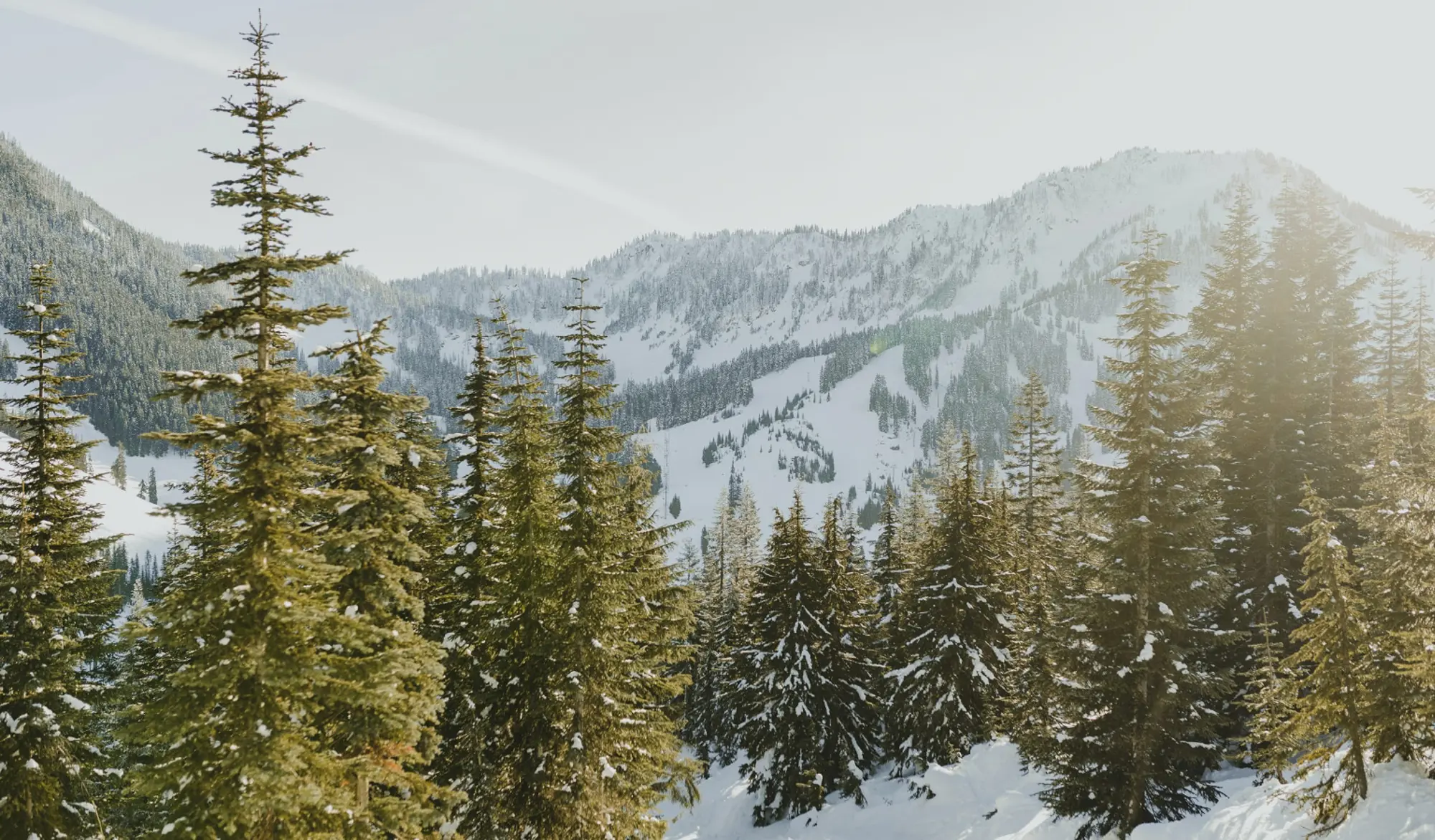 The Spirit of Christmas