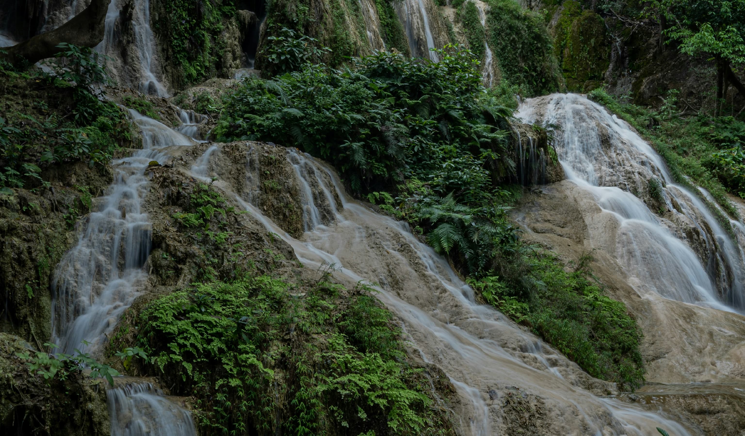 God with Us Age to Age