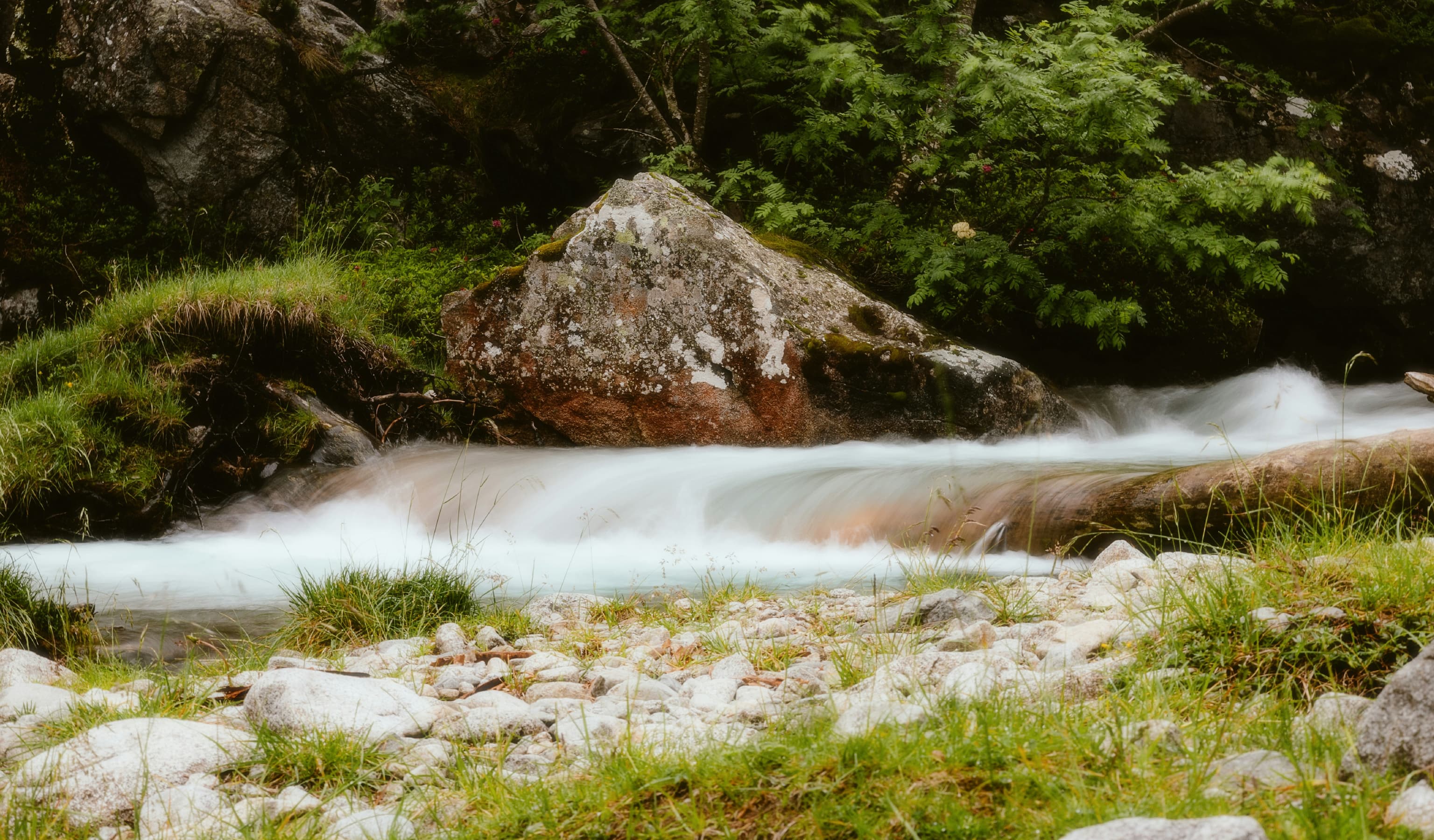 Deeply Rooted in Christ