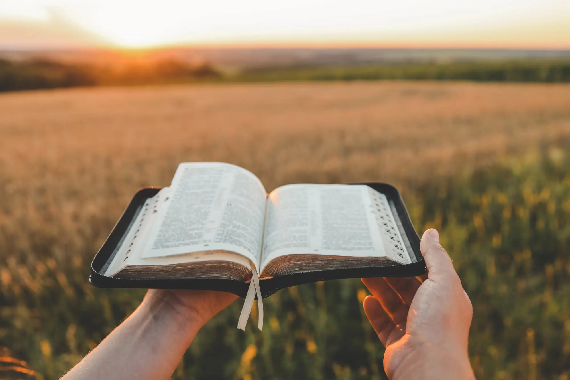Bible Engagement for Life