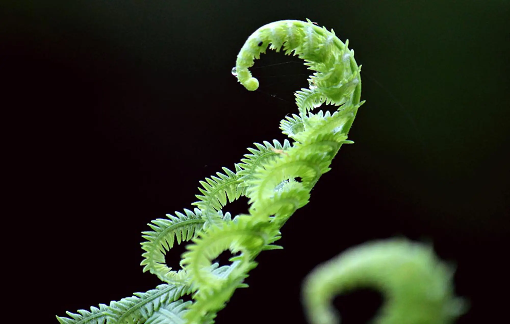 Get Outside – Life