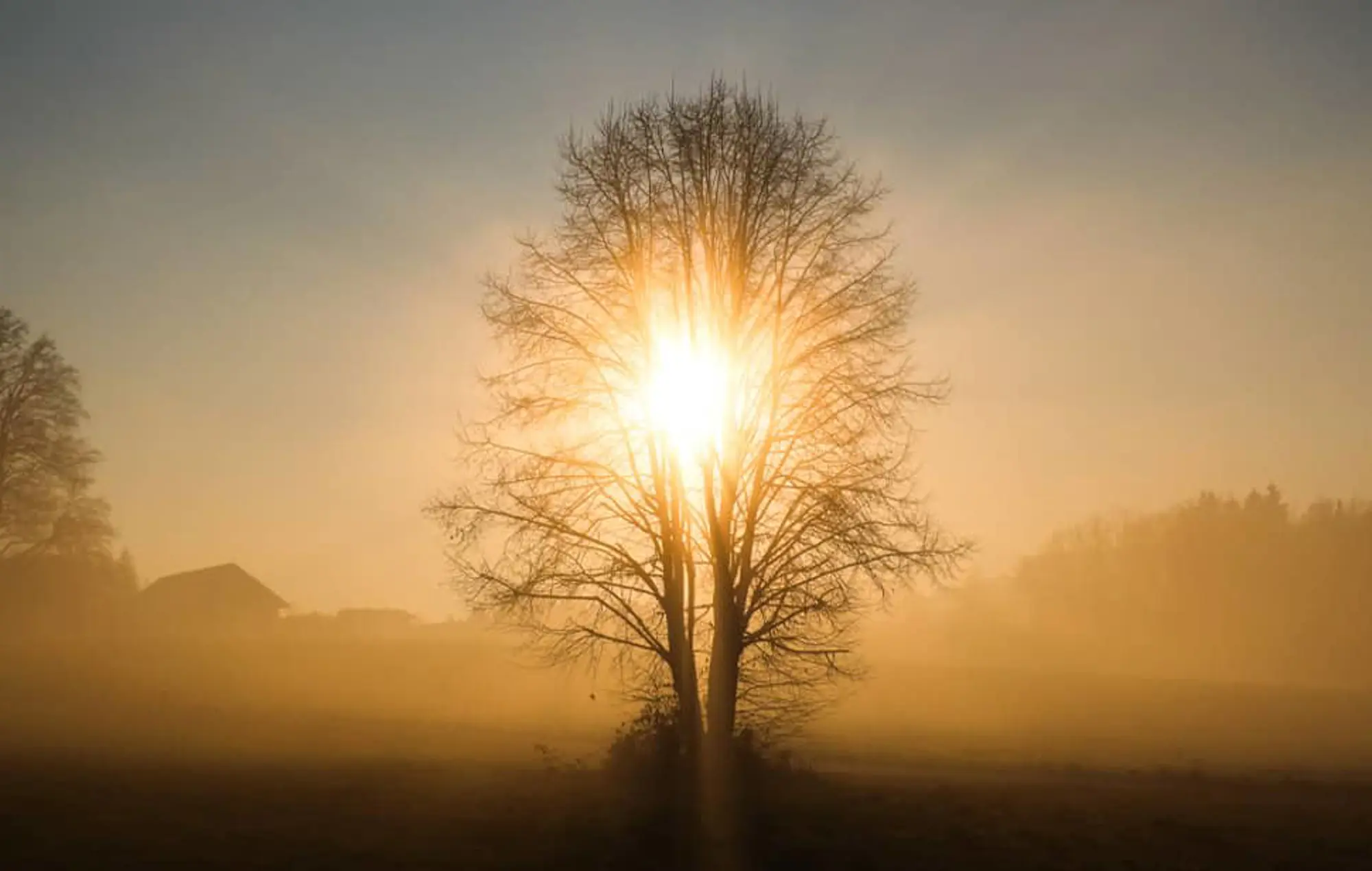 Hope: Discovering the One True Source | Our Daily Bread Ministries