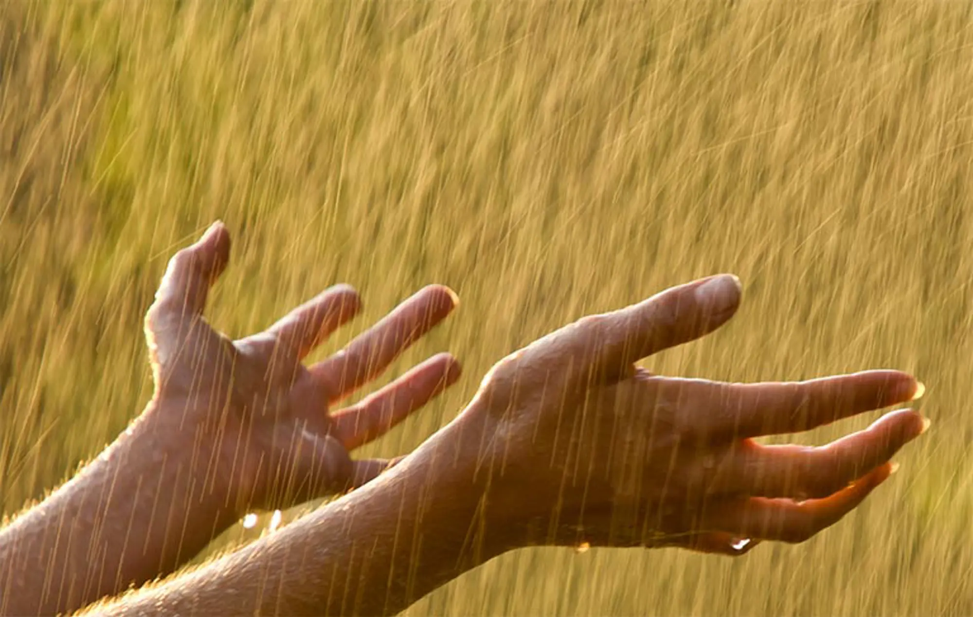 Examples of the Forgiven